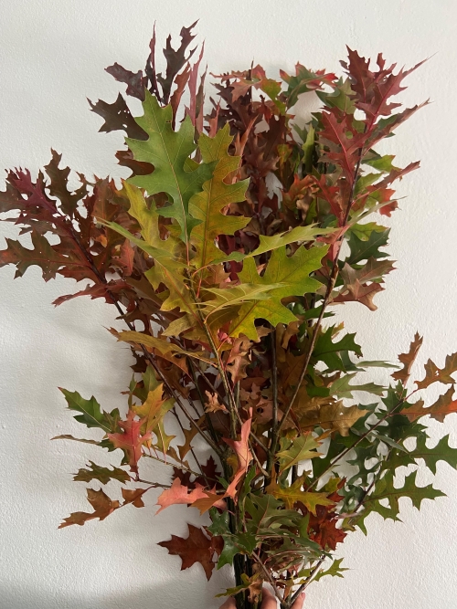 Flores frescas a domicilio | FLOREANDO